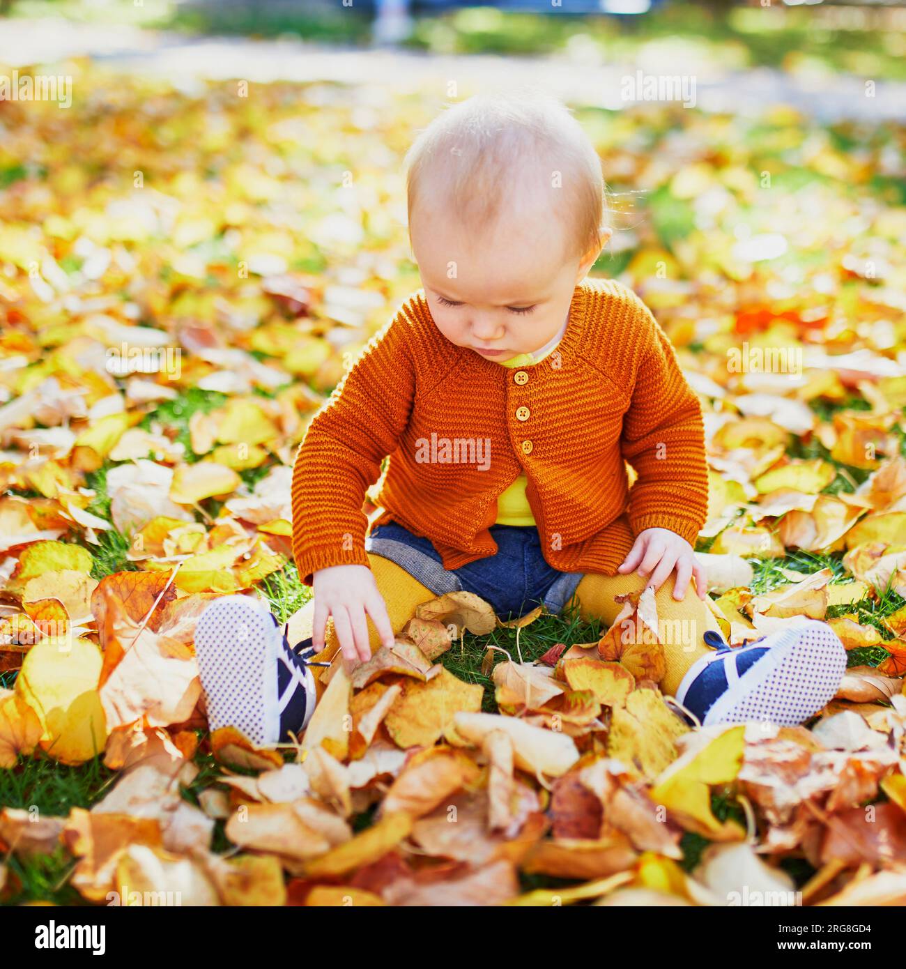 Adorable little girl sitting on the ground in park and playing with ...