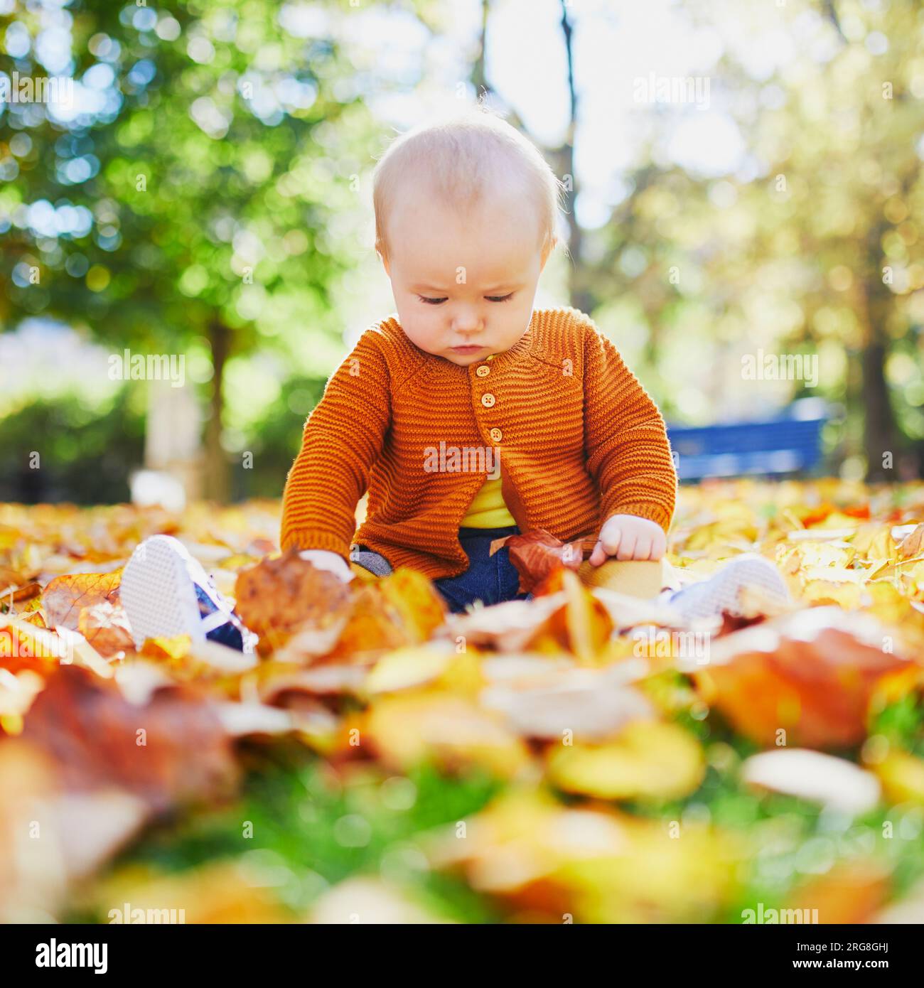 Adorable little girl sitting on the ground in park and playing with ...