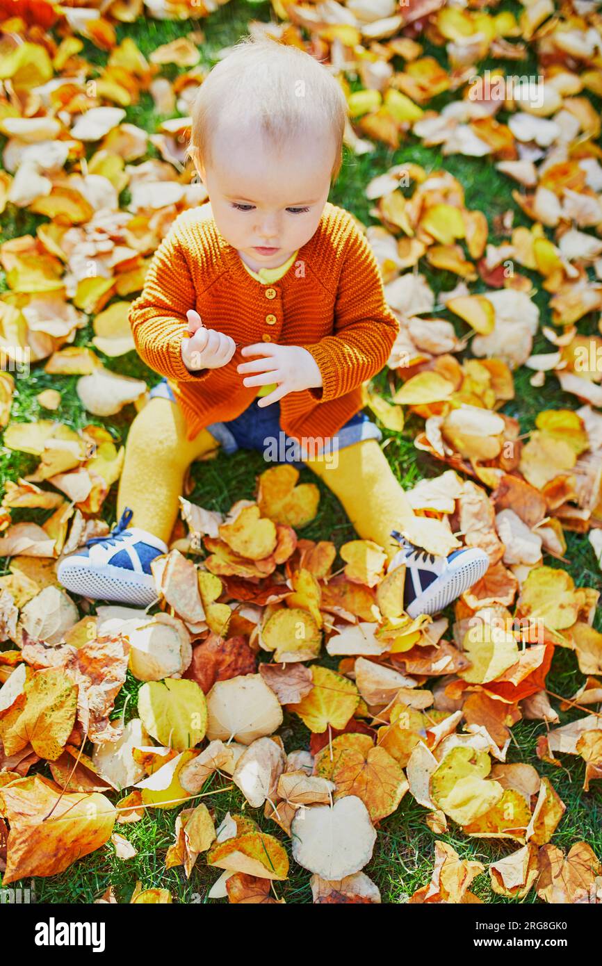 Adorable little girl sitting on the ground in park and playing with ...
