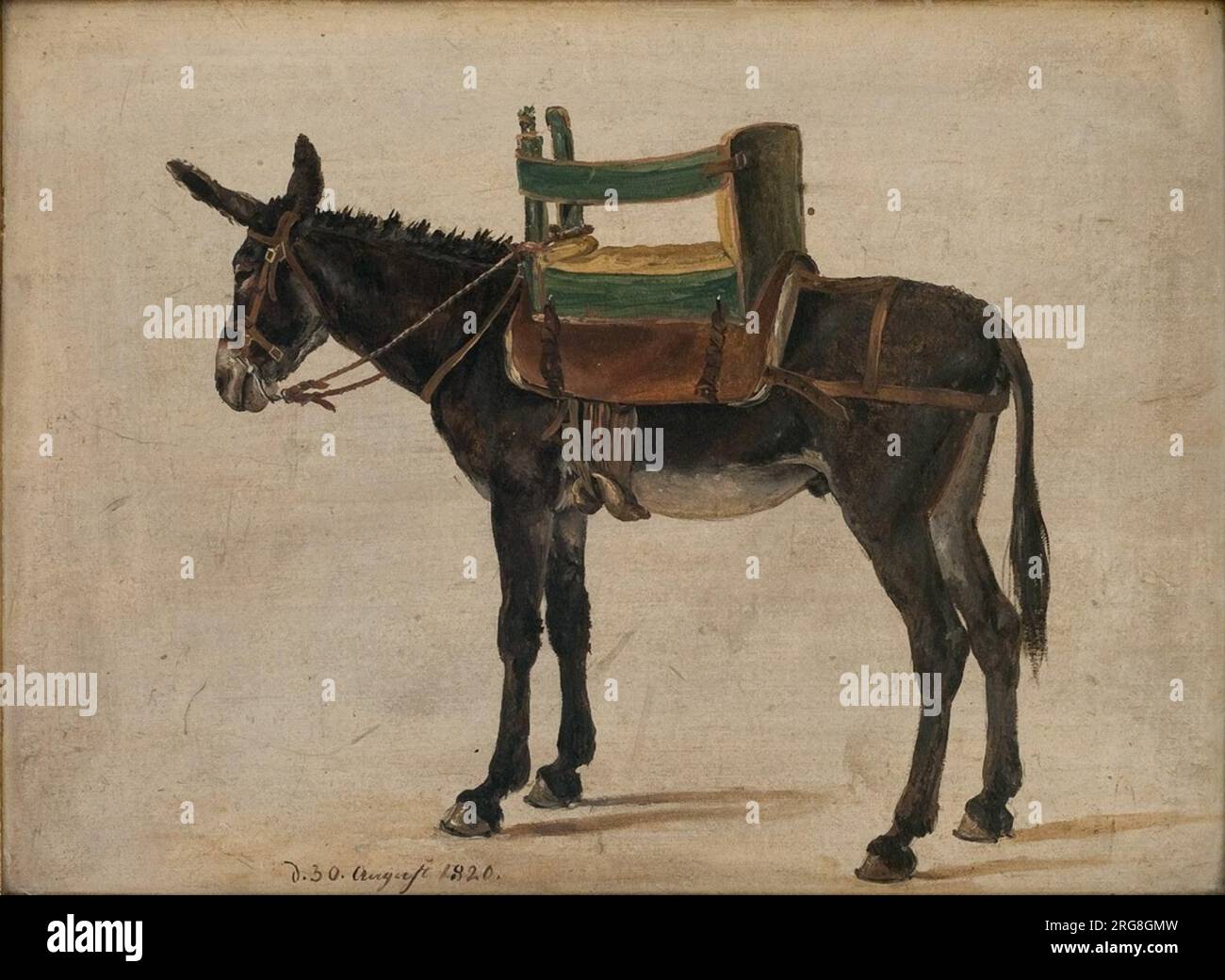 Picture Of A Donkey Chair at Terri Kent blog