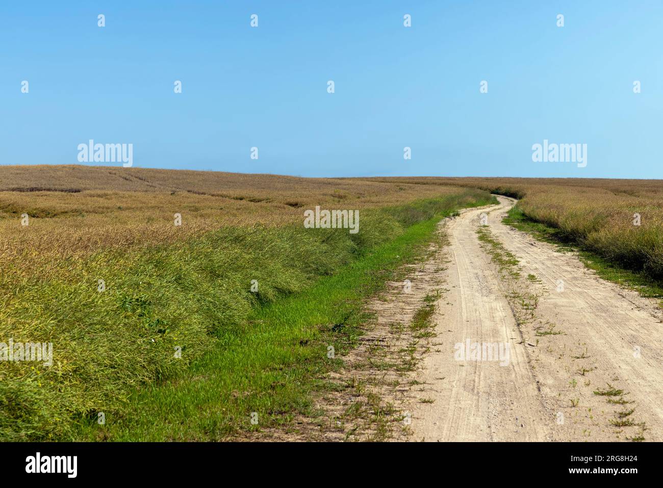 Gravel highway in rural areas , a simple primitive road for the ...
