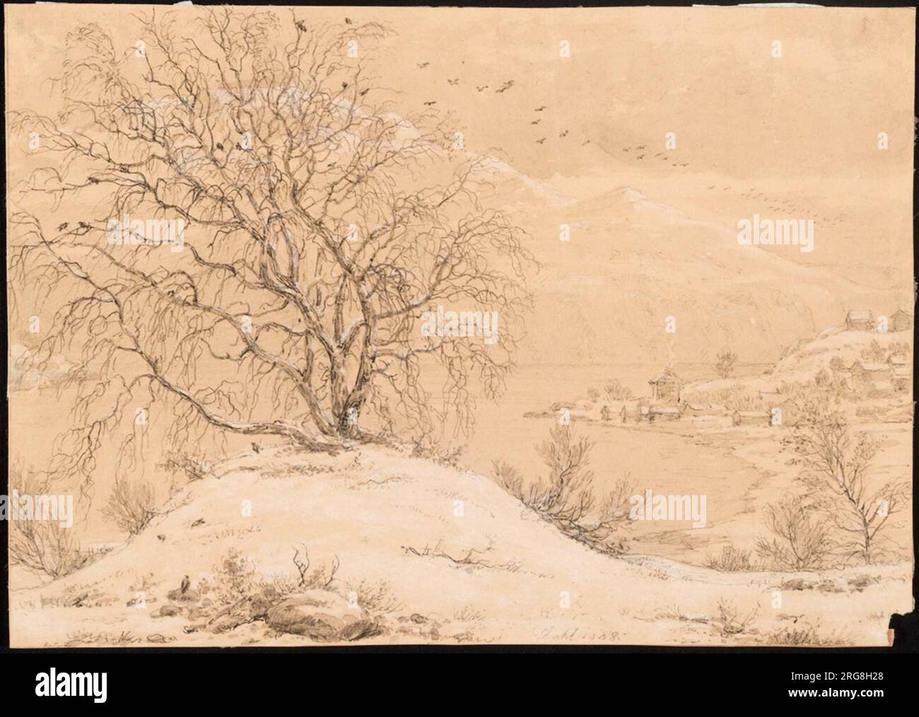 The slinde birch hi-res stock photography and images - Alamy