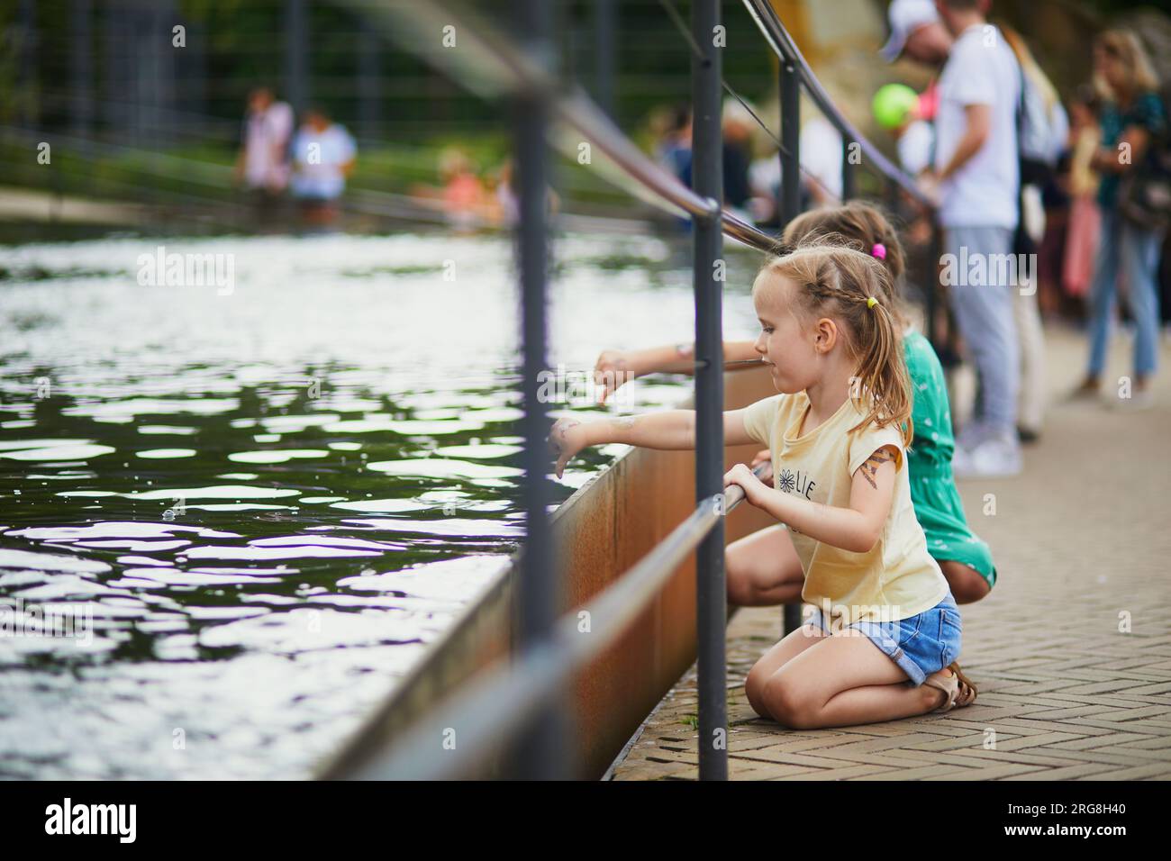 Preschooler girls trying to touch ducks or fish in the water in zoo or ...