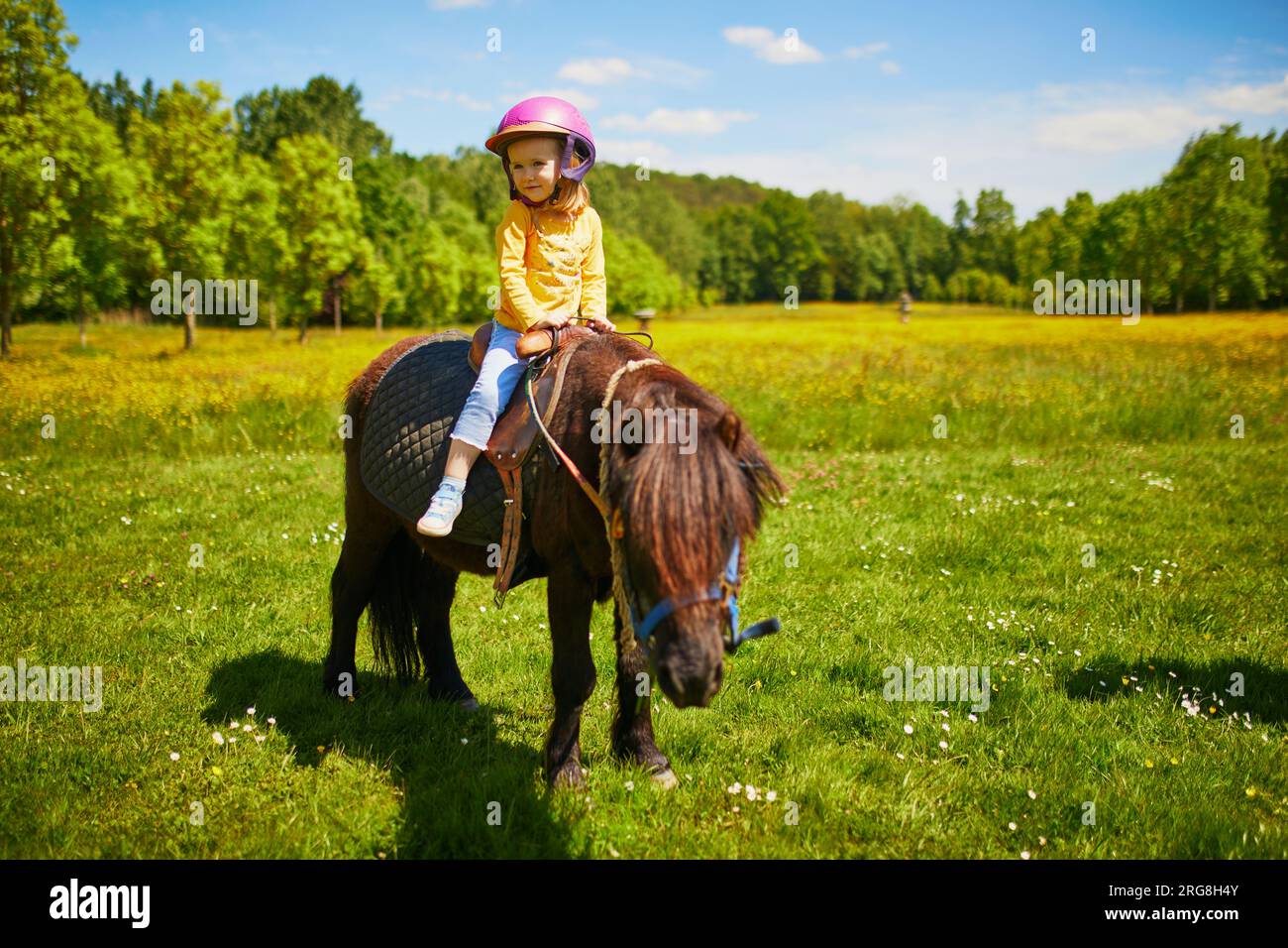 Adorable three years old girl riding a pony. Little child practicing ...