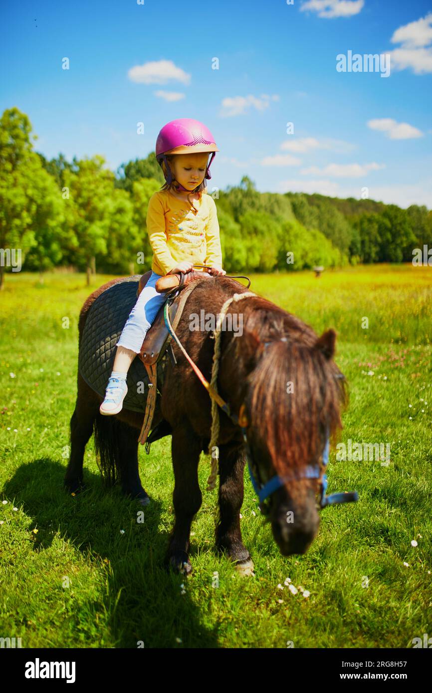 Adorable three years old girl riding a pony. Little child practicing ...