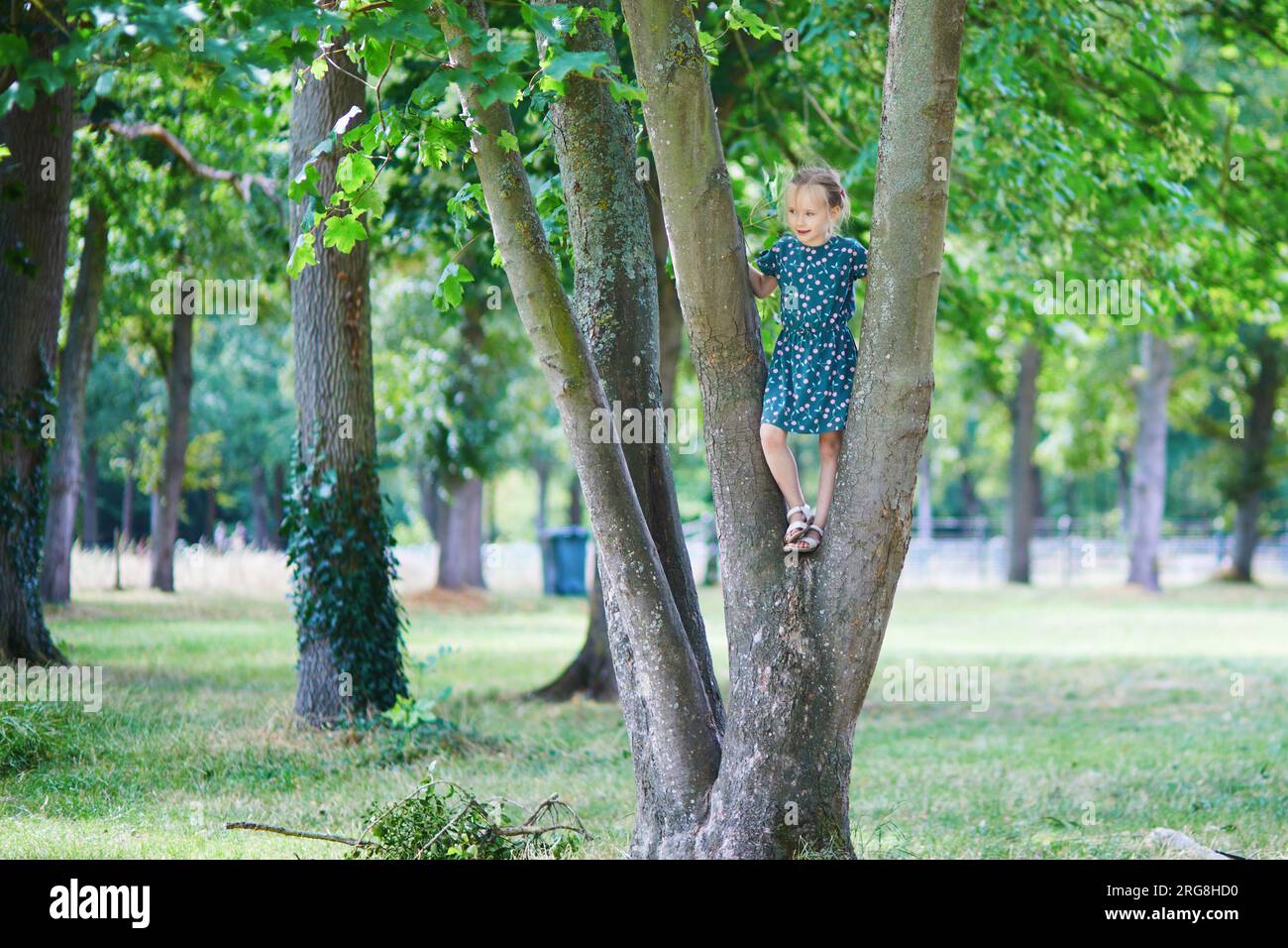 Cute preschooler girl playing outdoors in park or forest on a summer ...