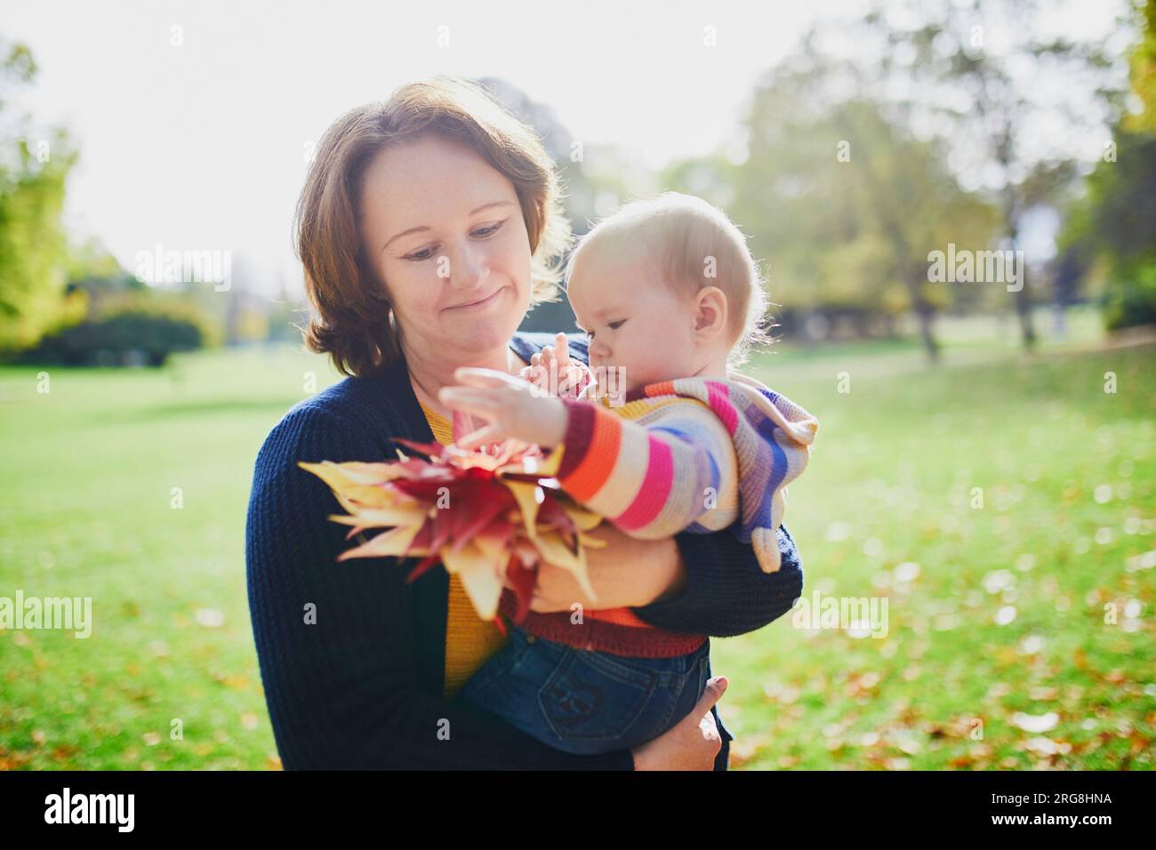 Baby red maple leaves hi-res stock photography and images - Alamy