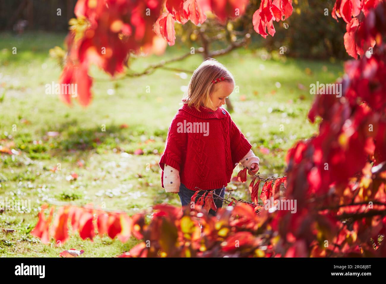 Adorable toddler girl playing in autumn park. Happy kid enjoying fall ...