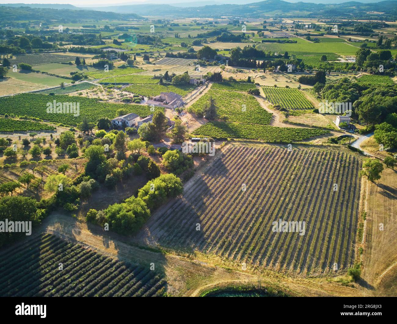 Aerial view of lavender fields in valensole, france hi-res stock photography and images - Alamy