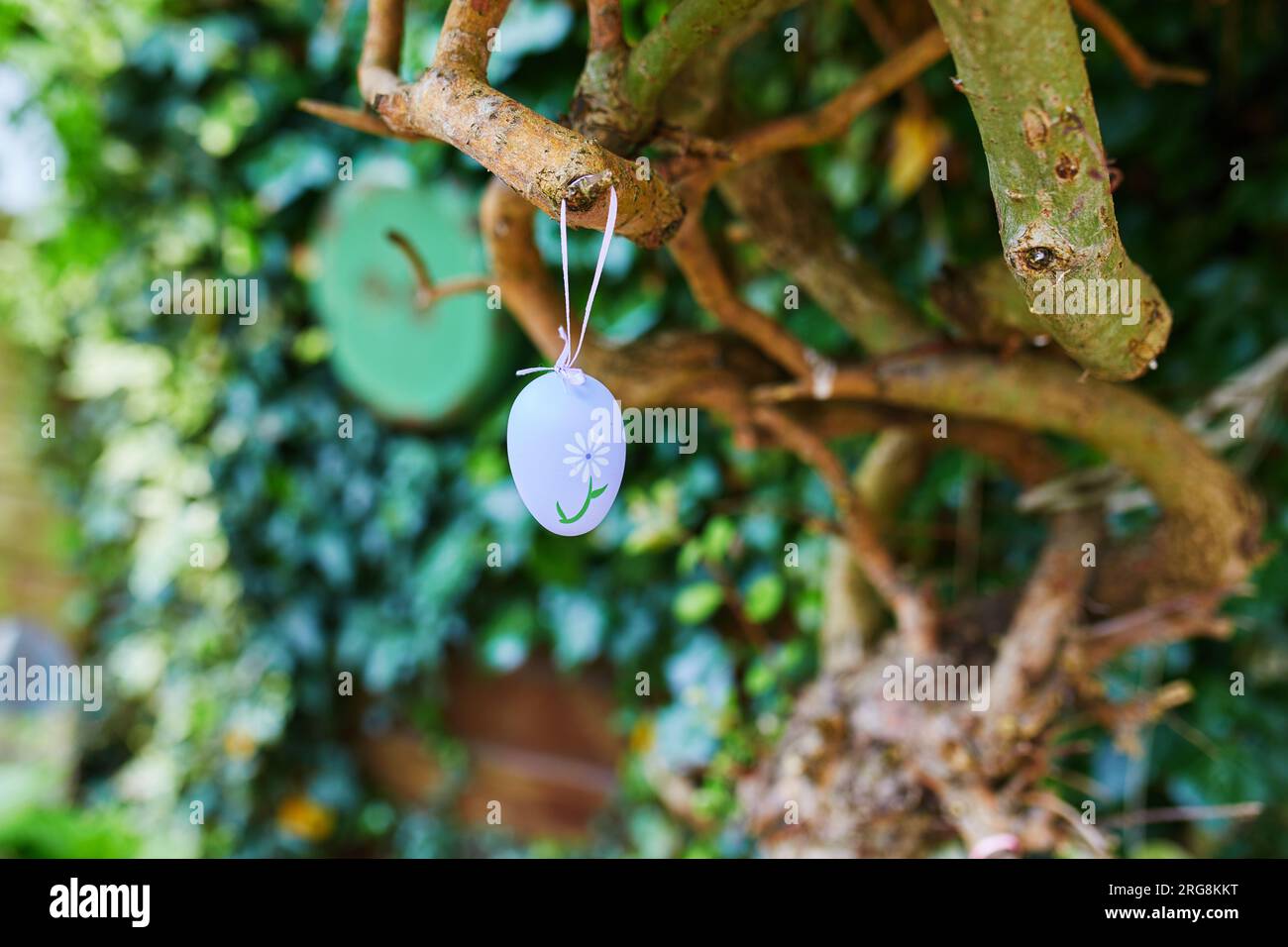 Colored Easter eggs hidden in the garden for the Easter tradition of ...