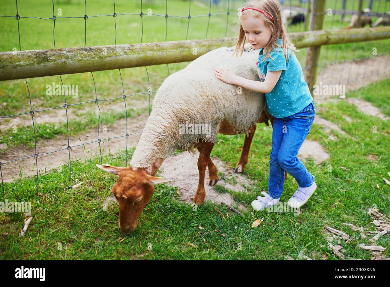 Adorable little girl playing with goats and sheep at farm. Child ...