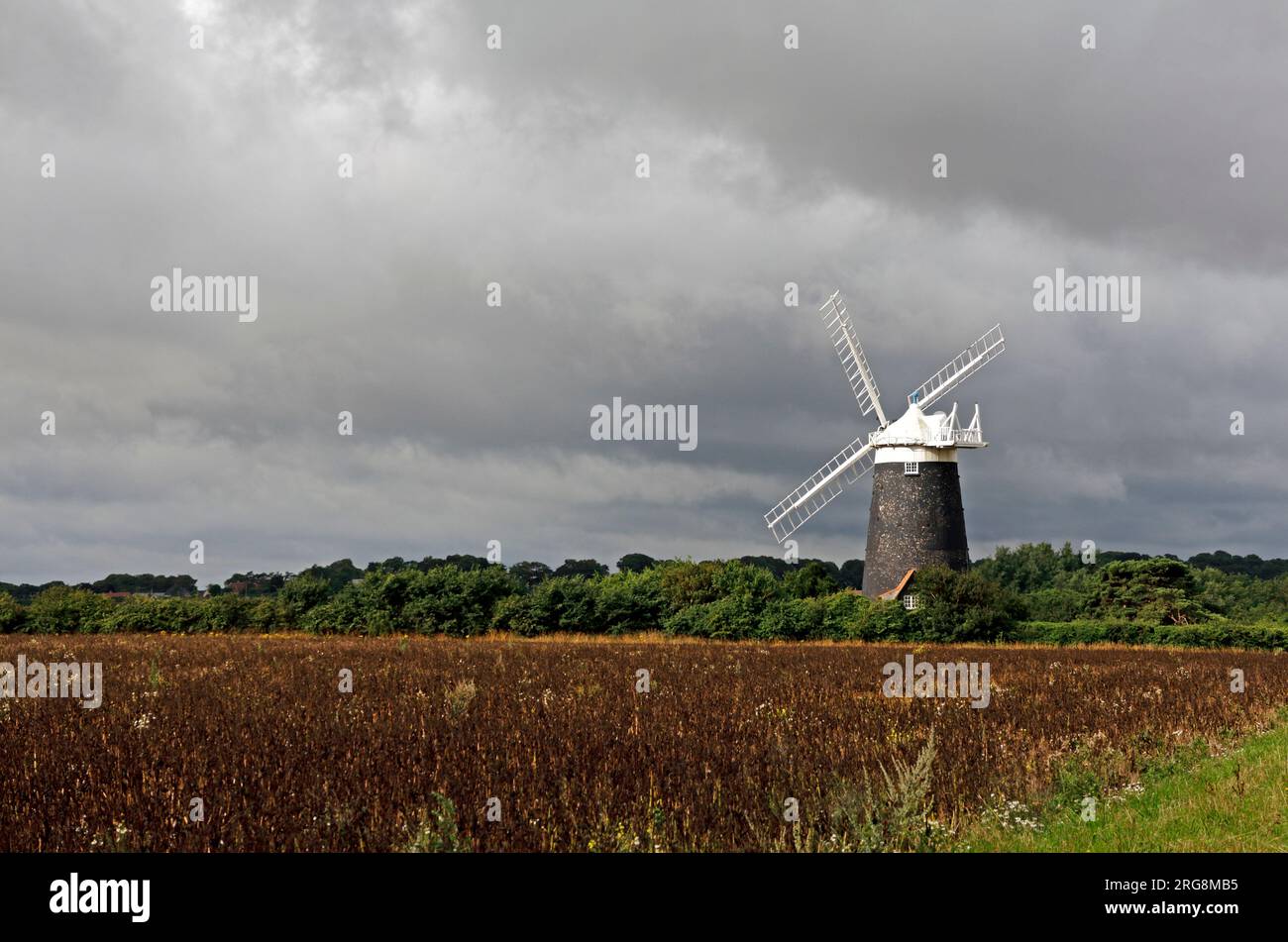 A view of the six storey tower windmill by the A149 coast road in North ...