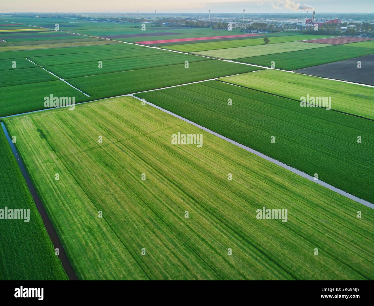 Aerial drone view of typical Dutch fields and polders. Typical ...