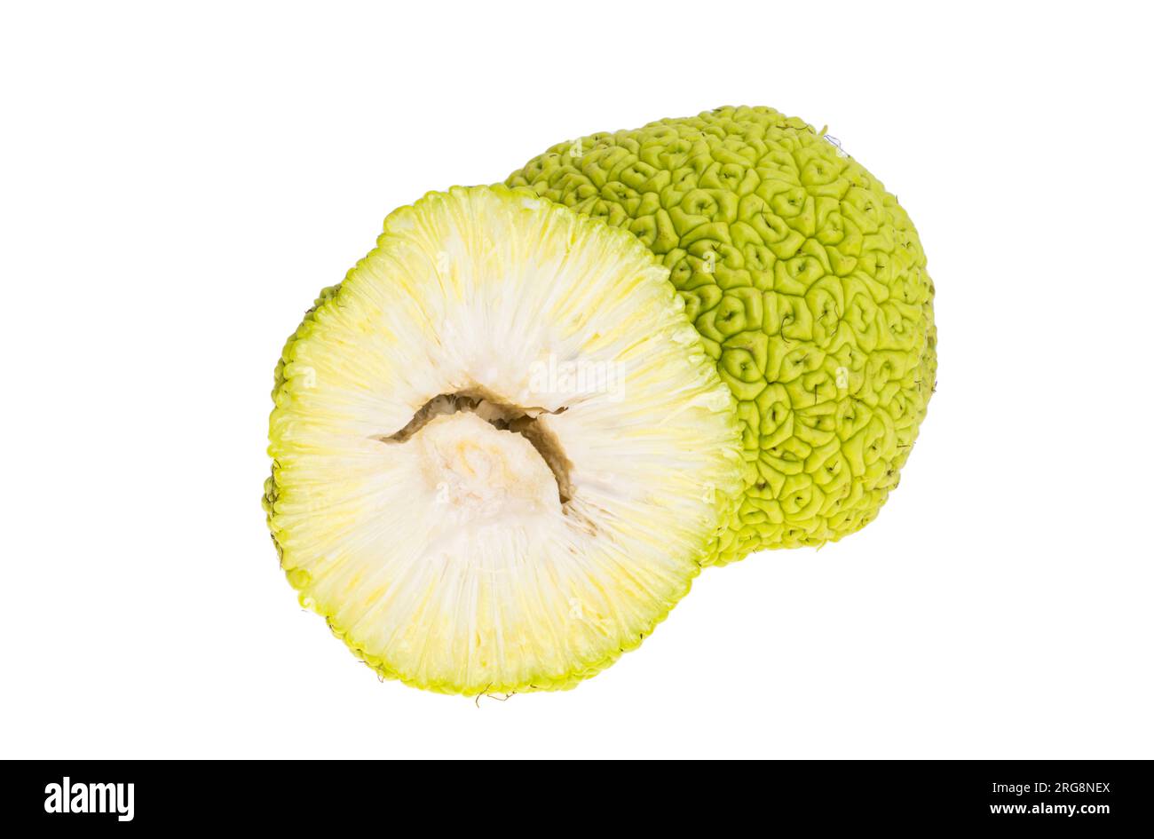 Bumpy seeds hi-res stock photography and images - Alamy