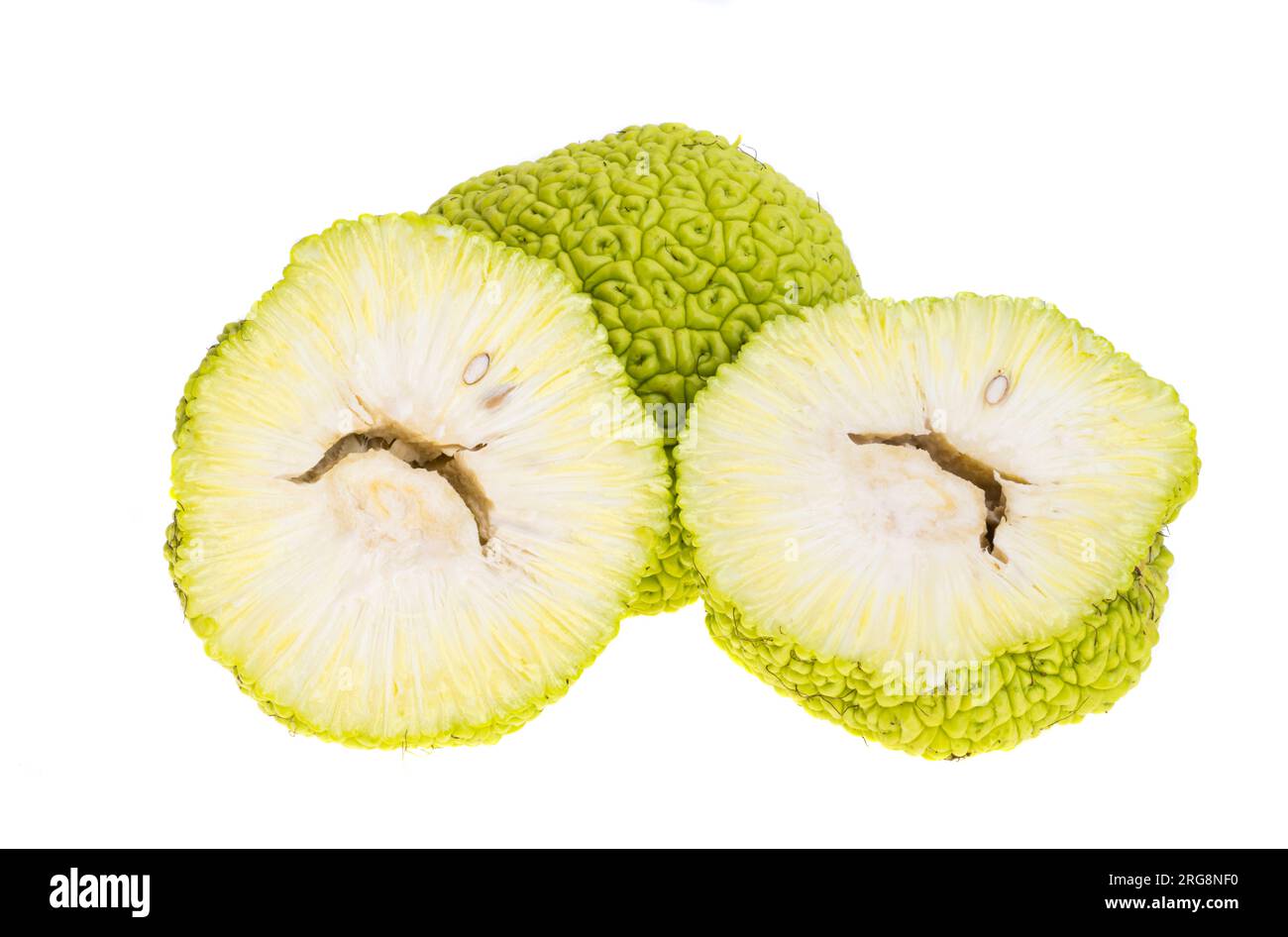 Bumpy seeds hi-res stock photography and images - Alamy