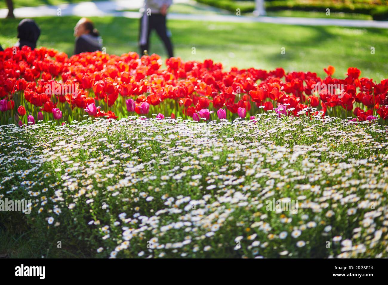 Various flowers blossoming in Gulhane park, a historical urban park in ...