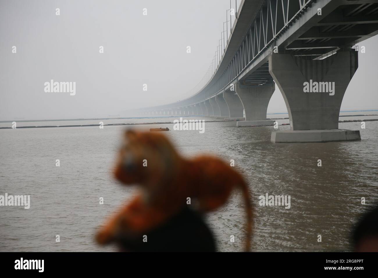 Shoaib Ali Bukhari, a die-hard fan of the Bangladesh Cricket who paints ...