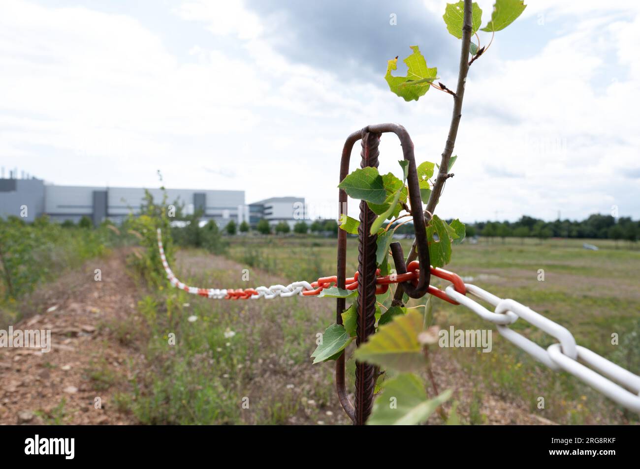 Tsmc semiconductor factory hi-res stock photography and images - Alamy