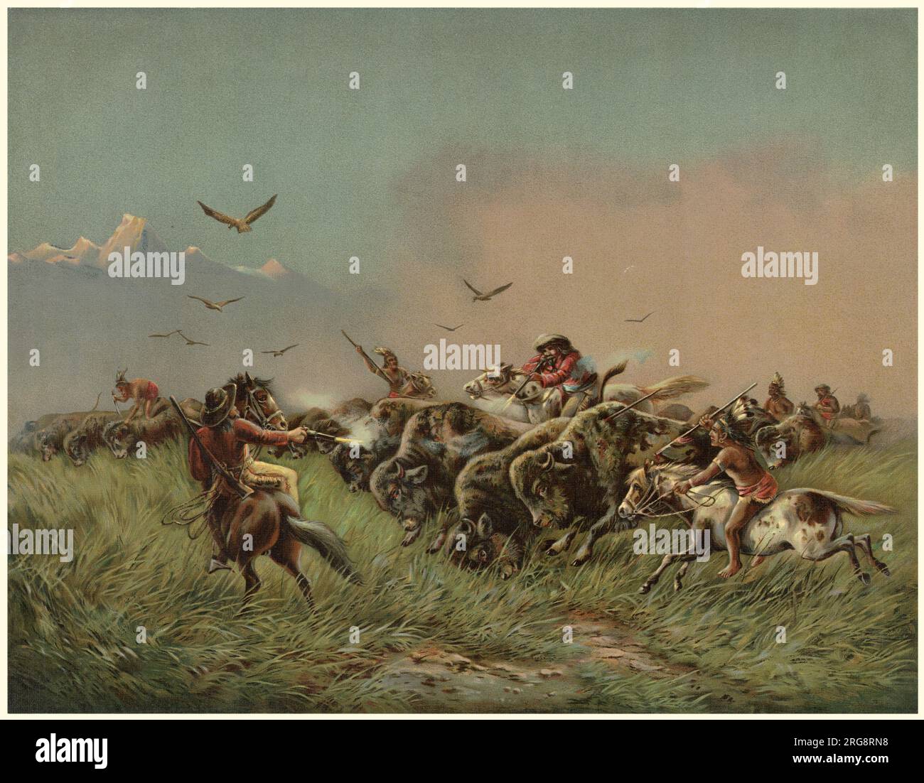 White hunters and native Americans exterminate the buffalo herds Stock ...