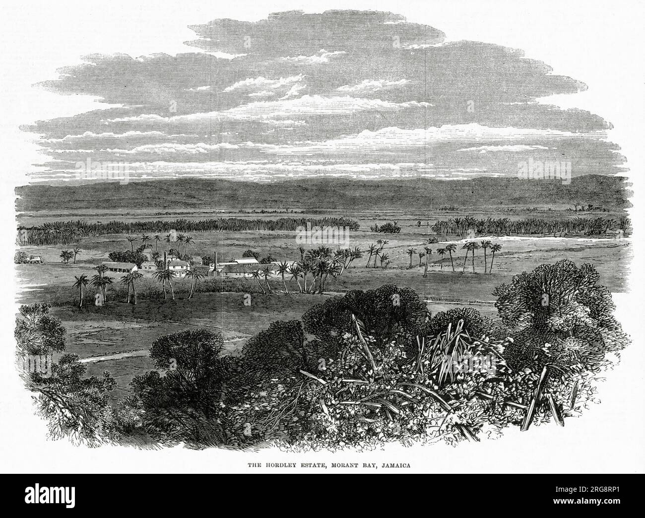 MORANT BAY The Hordley Estate Stock Photo - Alamy