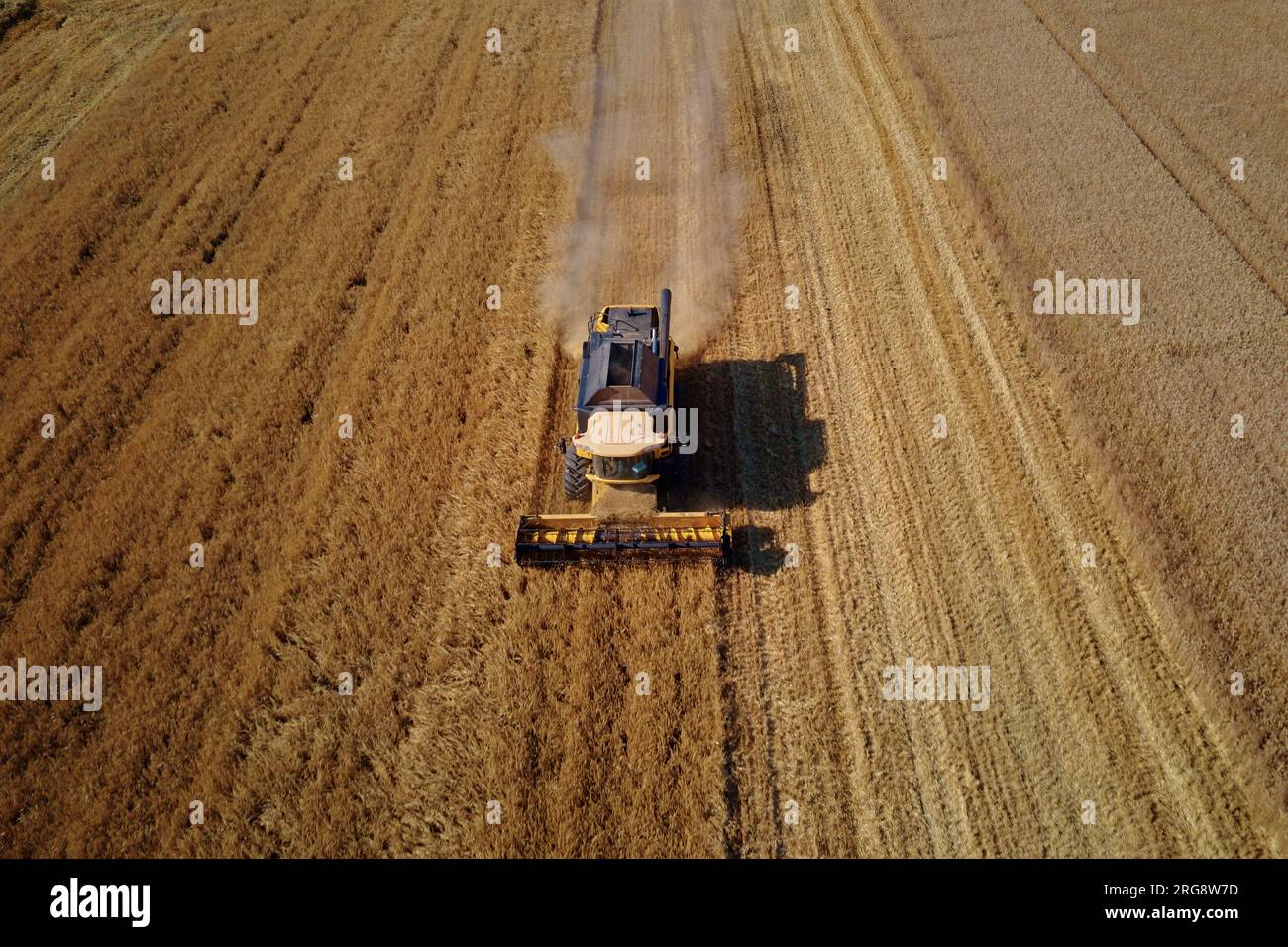 Harvesting machine working at agricultural field. Combine harvester ...