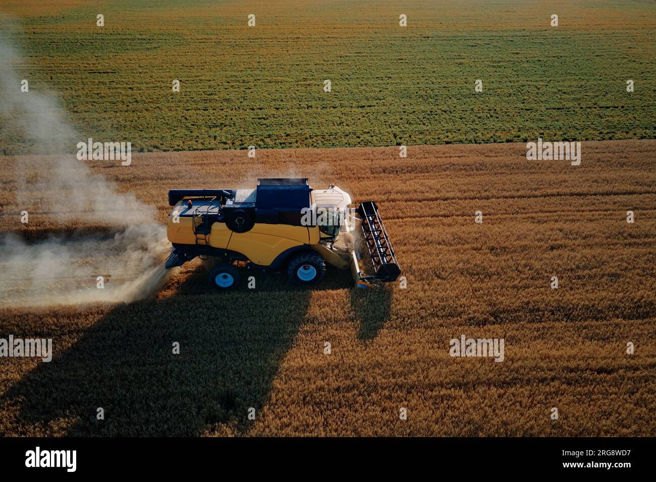 Harvesting machine working at agricultural field. Combine harvester ...