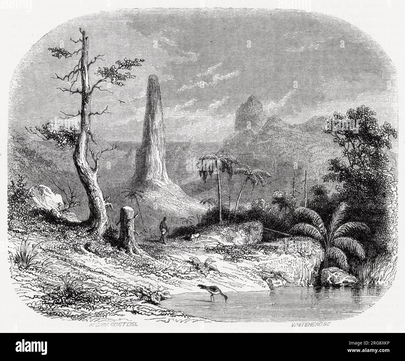 Sao Tome & Principe, a West African island republic: typical landscape ...