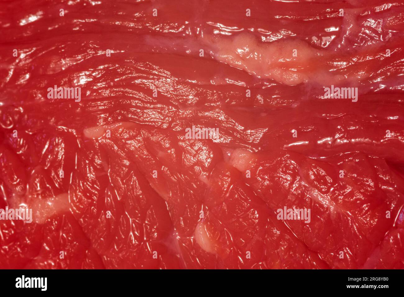 Close-up of beef meat texture macro. Meat food background Stock Photo ...
