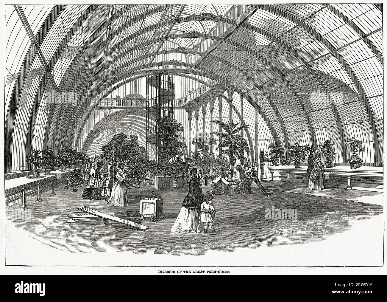 Interior of the Great Palm-House at Royal Gardens Stock Photo - Alamy
