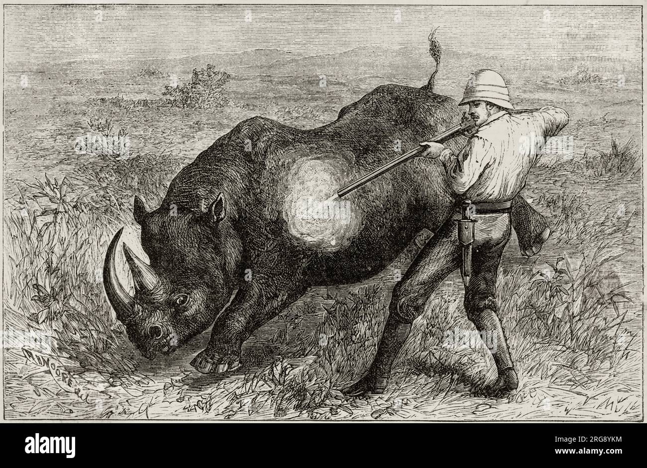 African veldt hi-res stock photography and images - Alamy