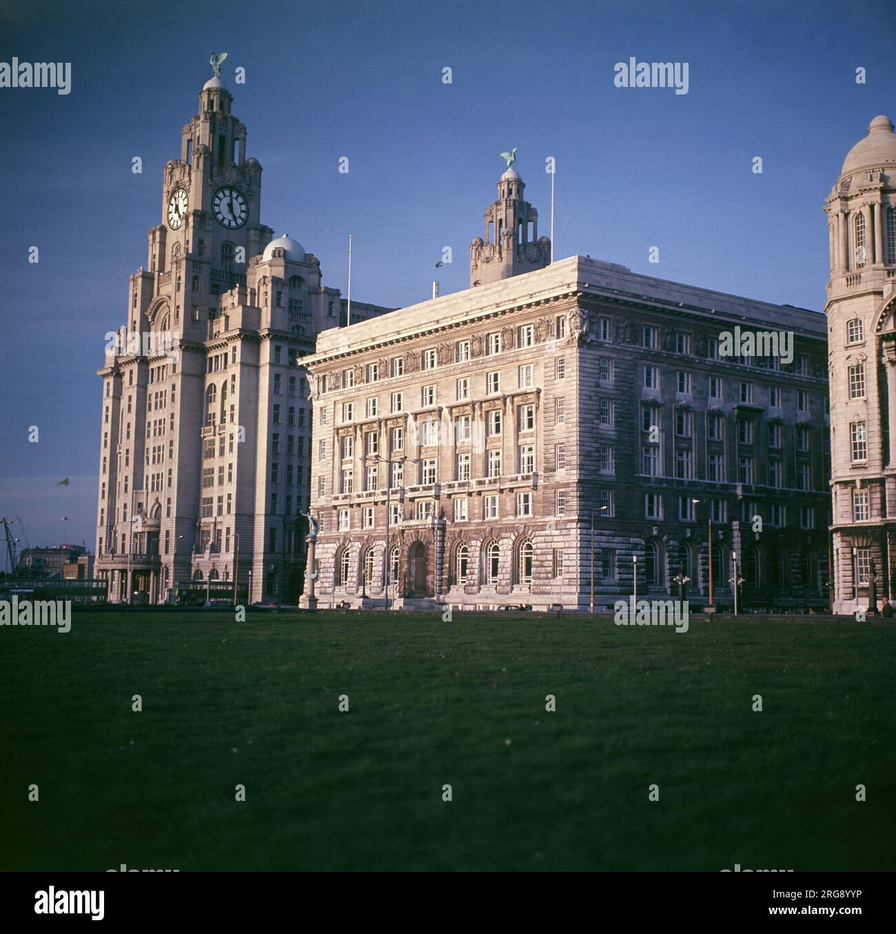 The Royal Liver Building and Custom House, Liverpool. The Liver ...