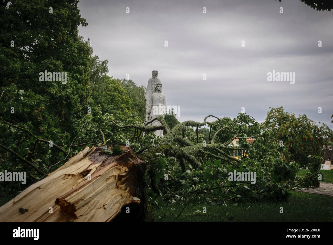 Wind struck hi-res stock photography and images - Alamy
