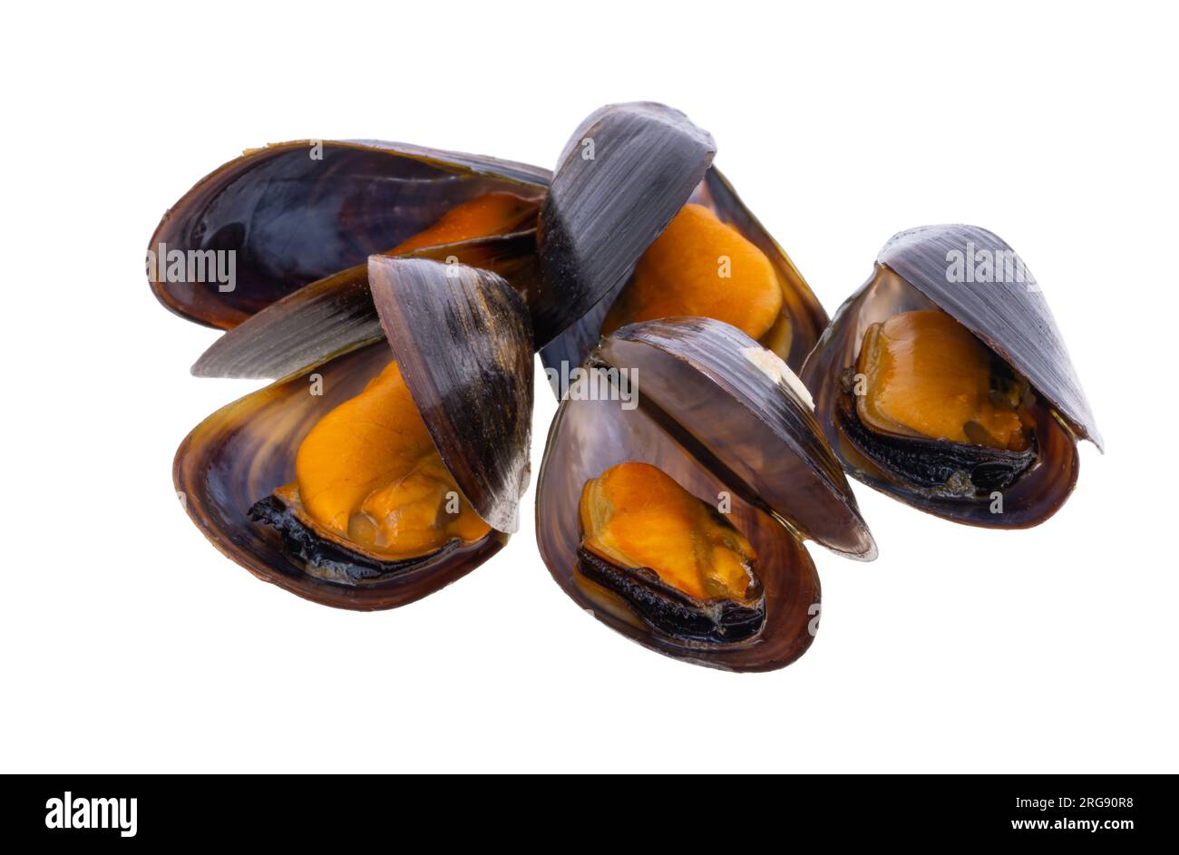 mussels in shell isolated on white background Stock Photo - Alamy