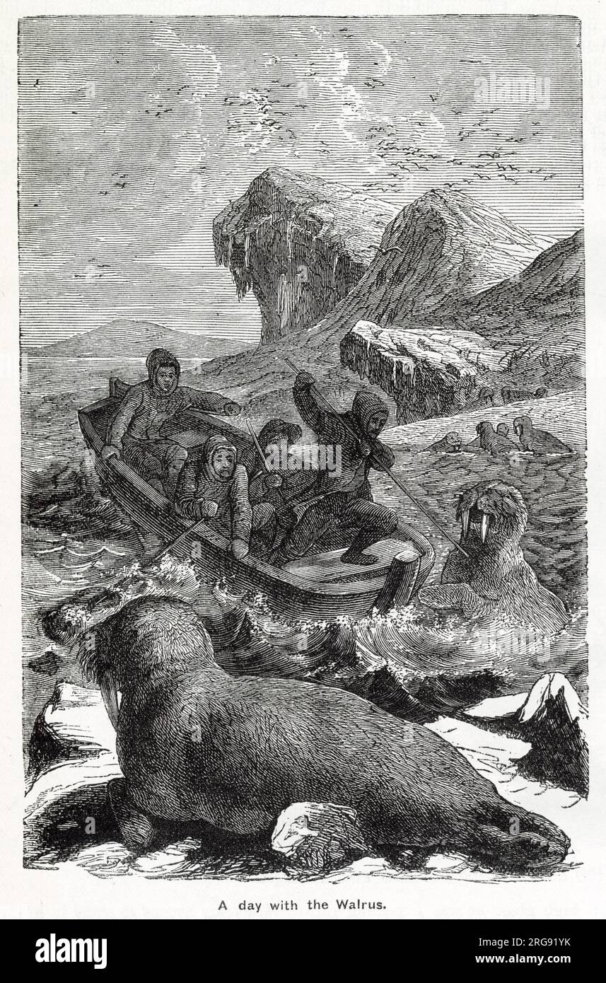 Walrus hunters hi-res stock photography and images - Alamy