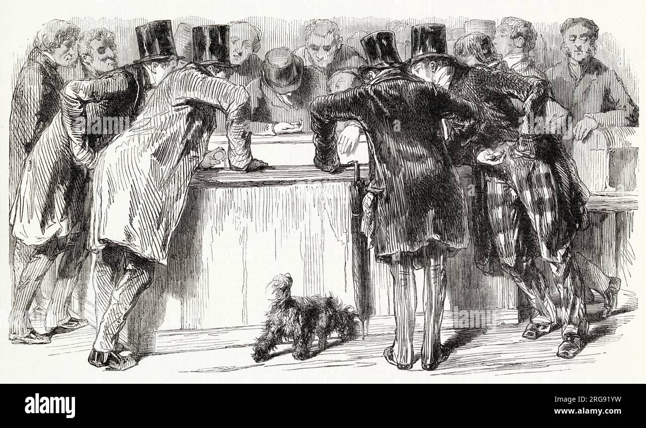 Dogs killing rat hi-res stock photography and images - Alamy