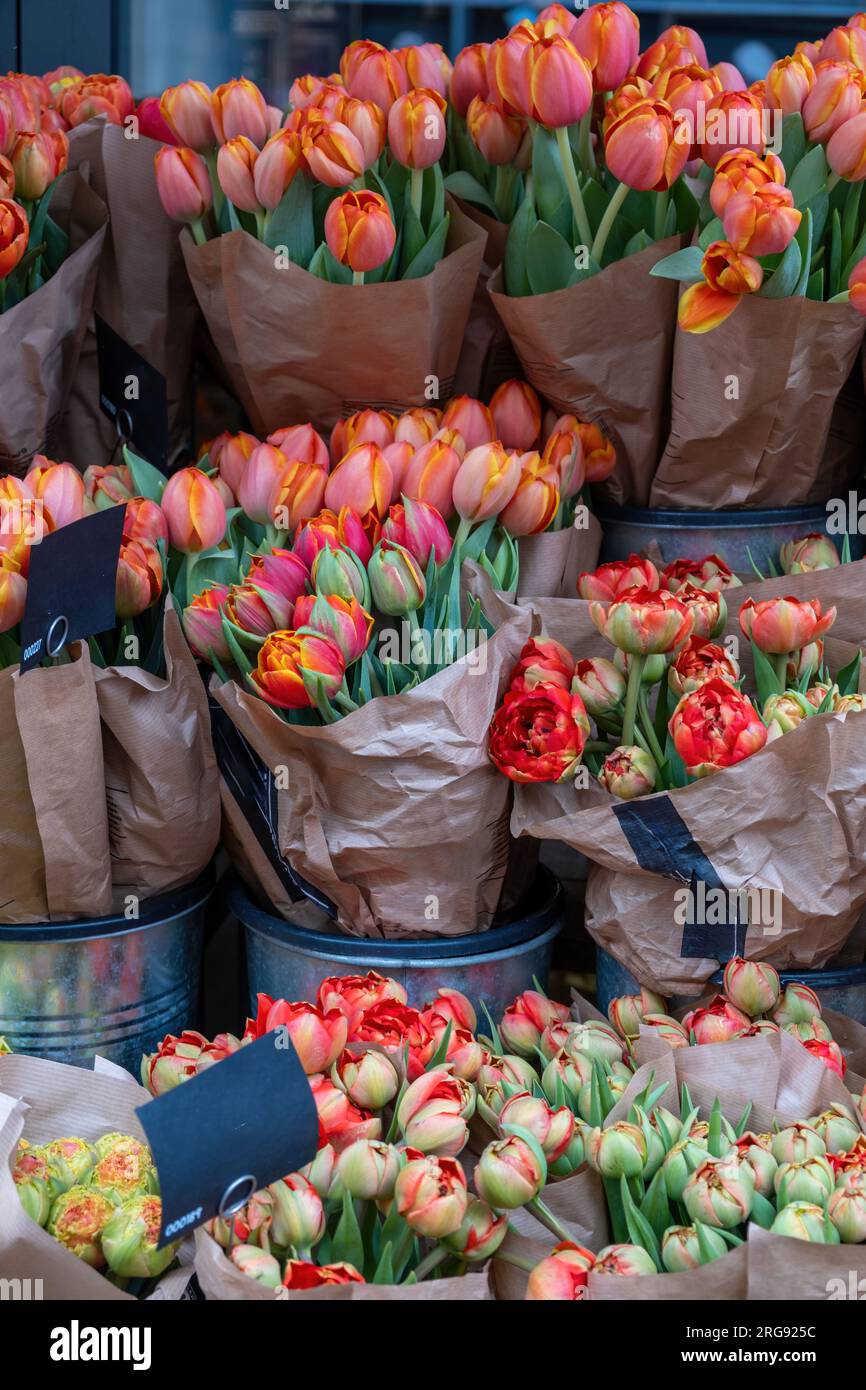 tulip market stall, colorful flower bouquets in metal buckets Stock ...