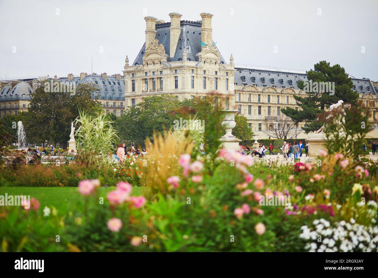 Chestnut tree in paris france hi-res stock photography and images - Alamy