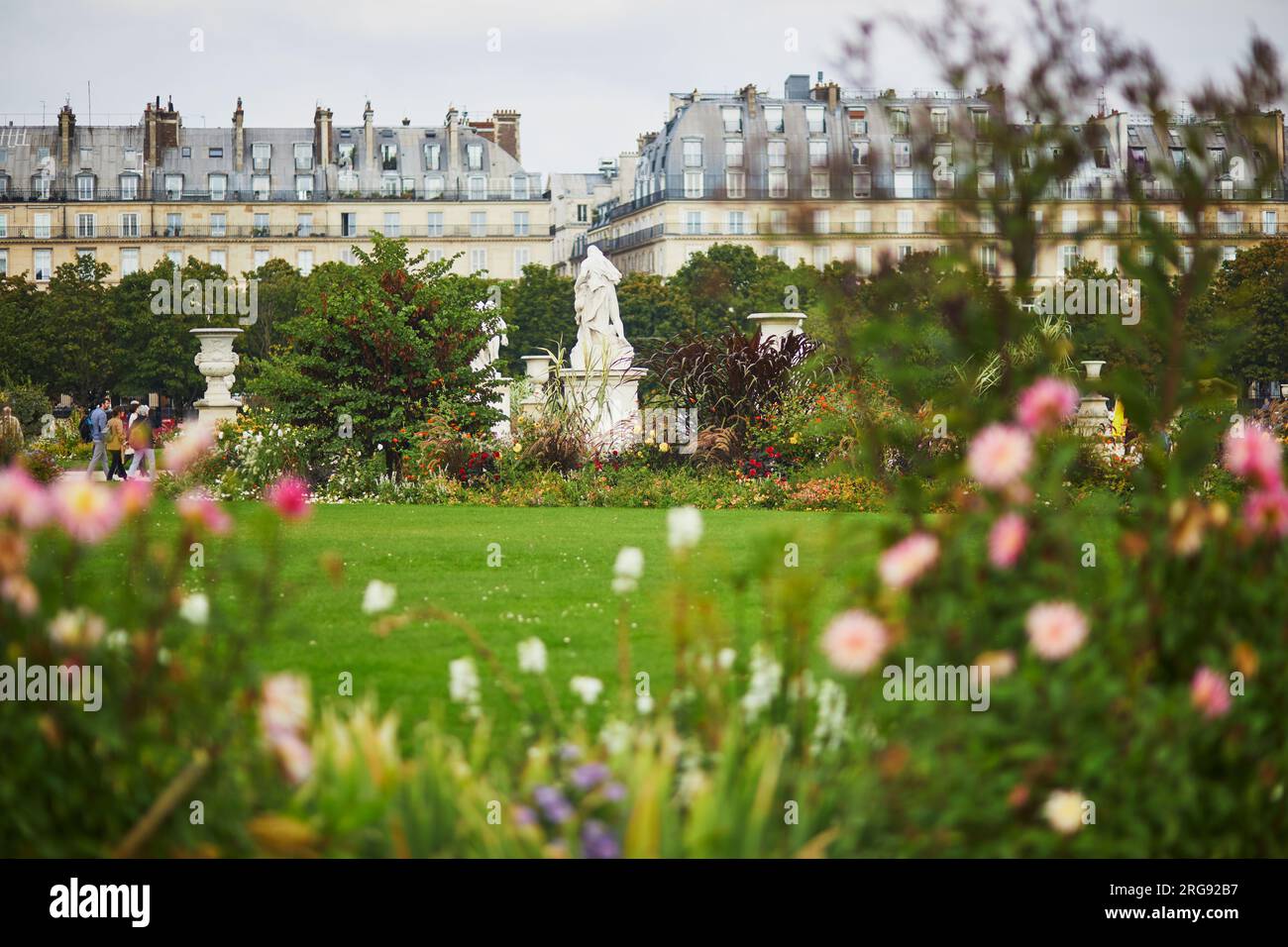 Chestnut tree in paris france hi-res stock photography and images - Alamy