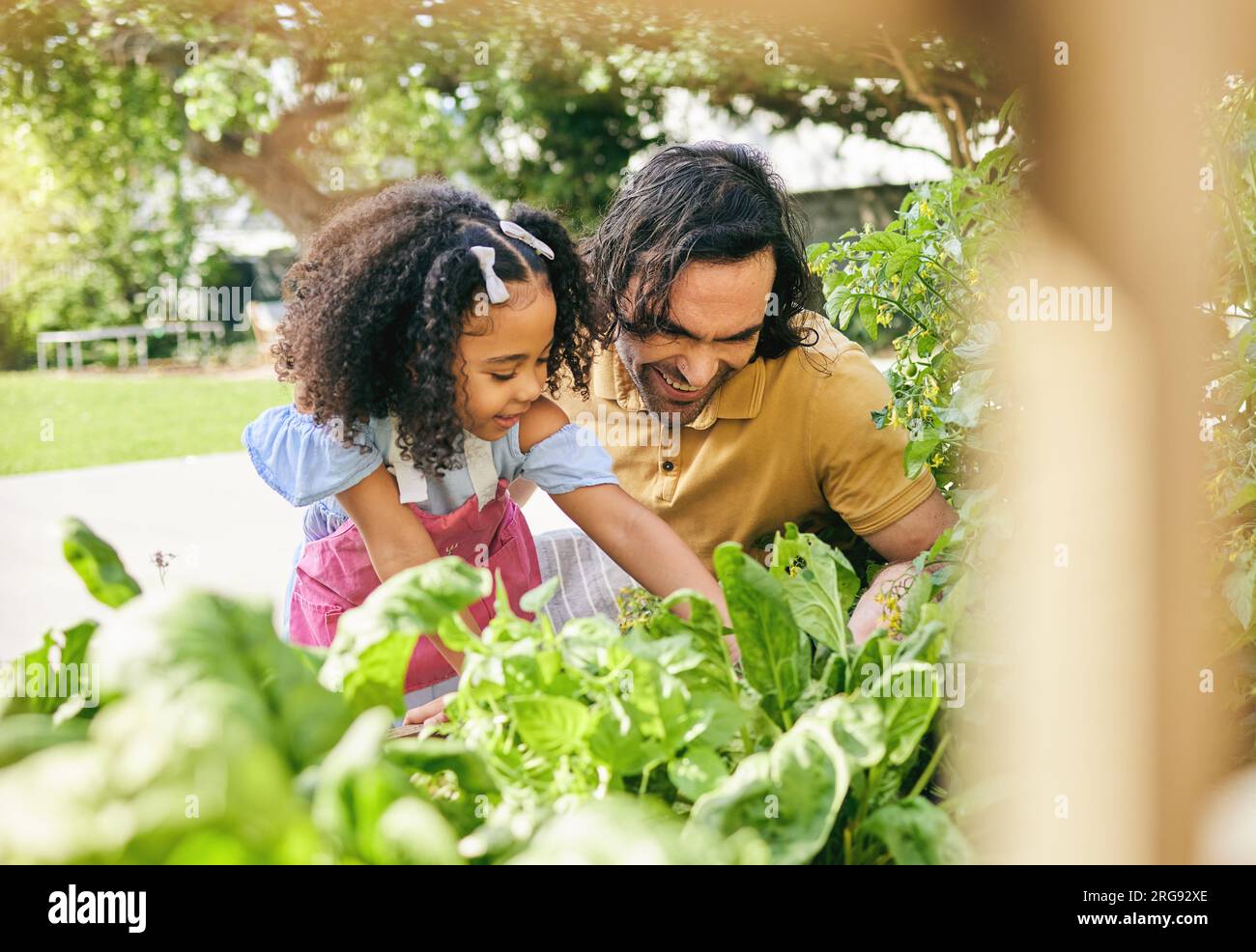 Garden, inspection and happy family kid, father and watch seed growth ...