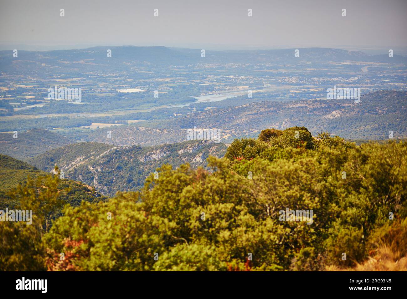 Aerial scenic Mediterranean landscape with cypresses, olive trees and ...