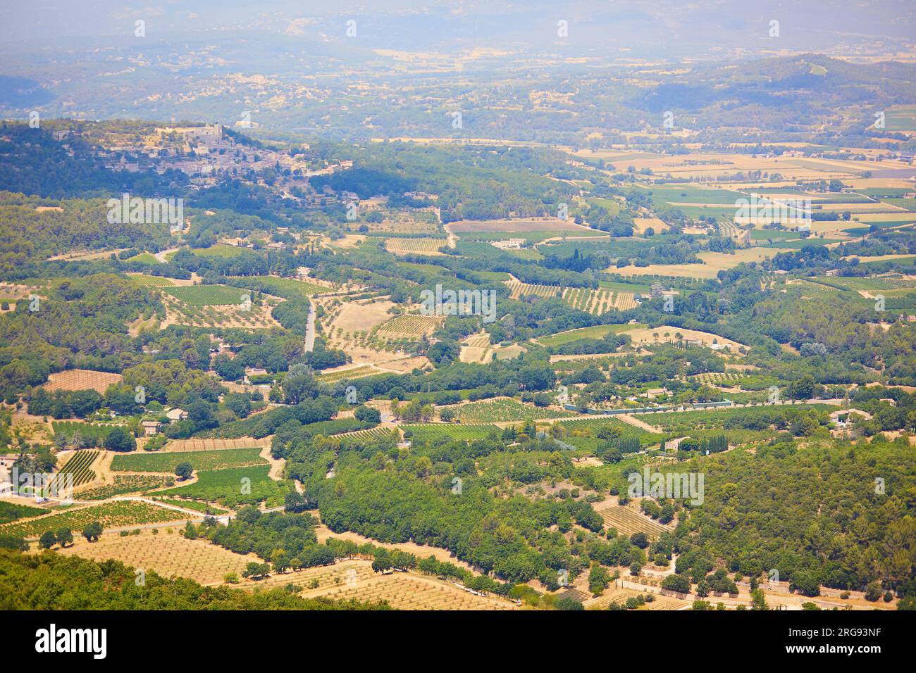 Aerial scenic Mediterranean landscape with cypresses, olive trees and ...