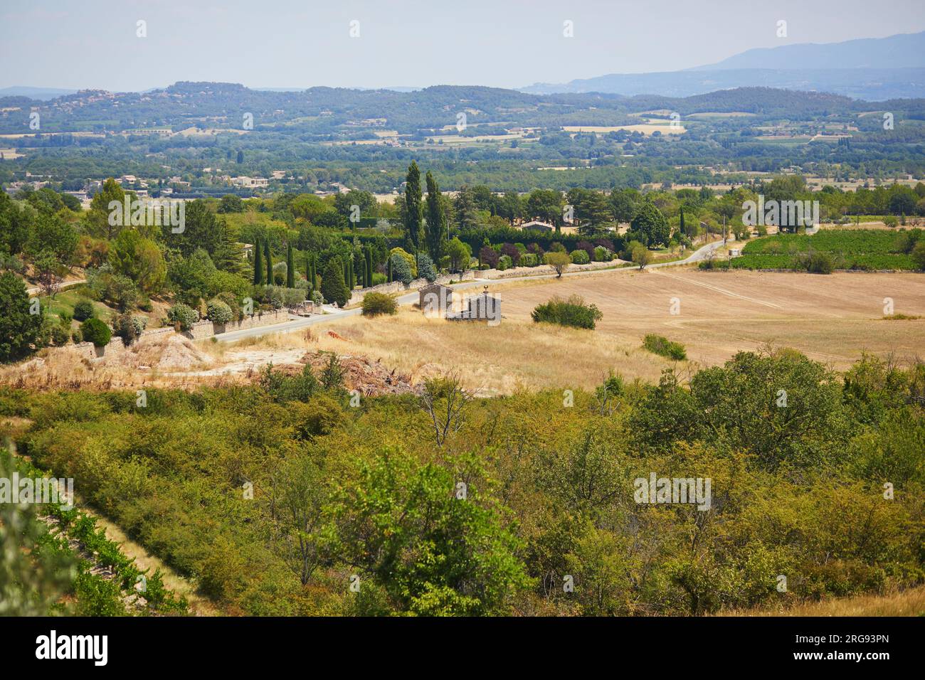 Aerial scenic Mediterranean landscape with cypresses, olive trees and ...