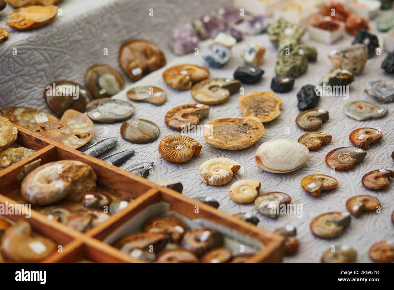 Selection of prehistoric minerals and fossils on a traditional French ...