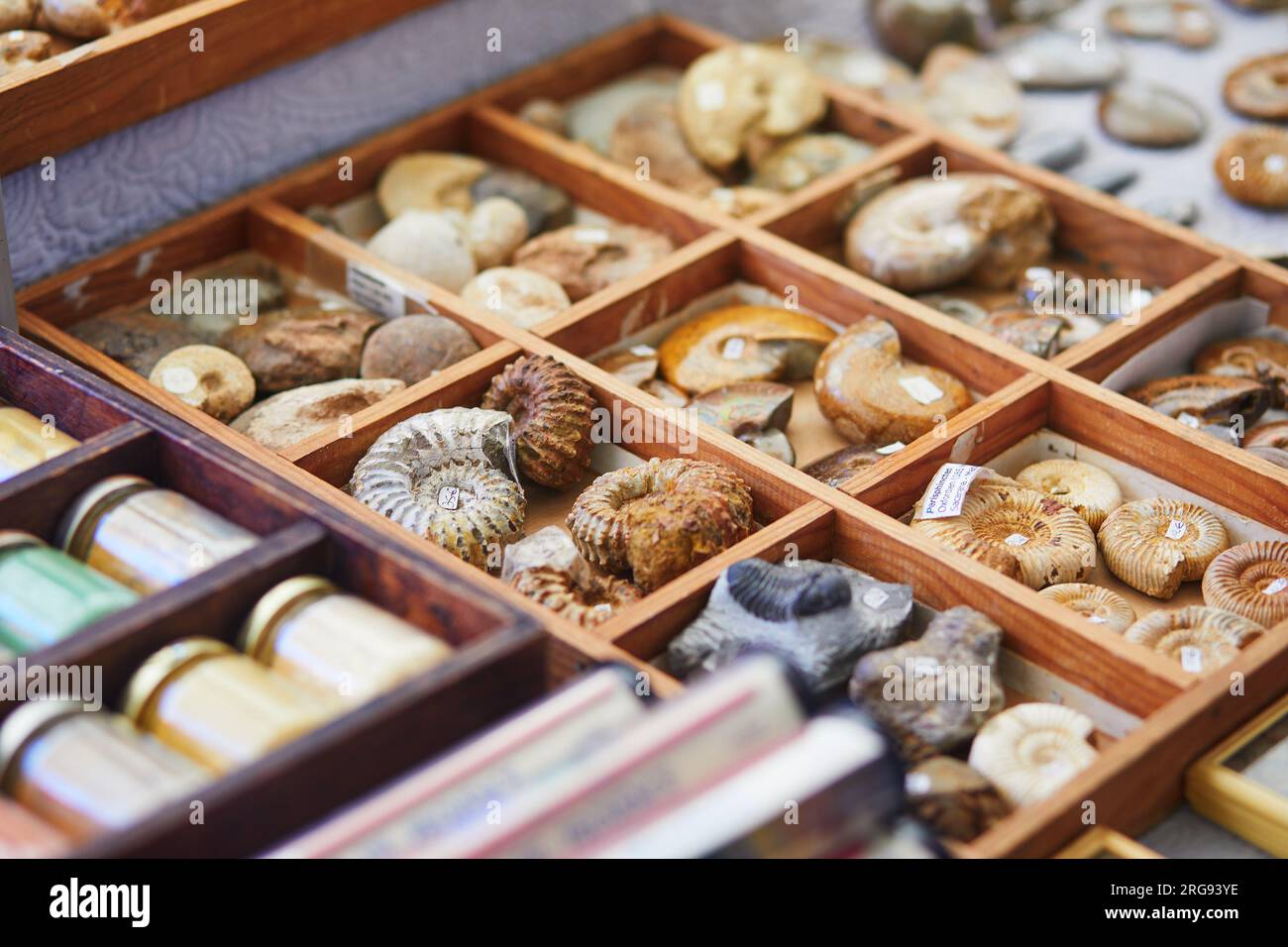 Selection of prehistoric minerals and fossils on a traditional French ...