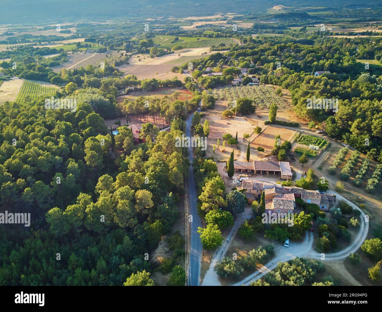 Aerial scenic Mediterranean landscape with cypresses, olive trees and ...