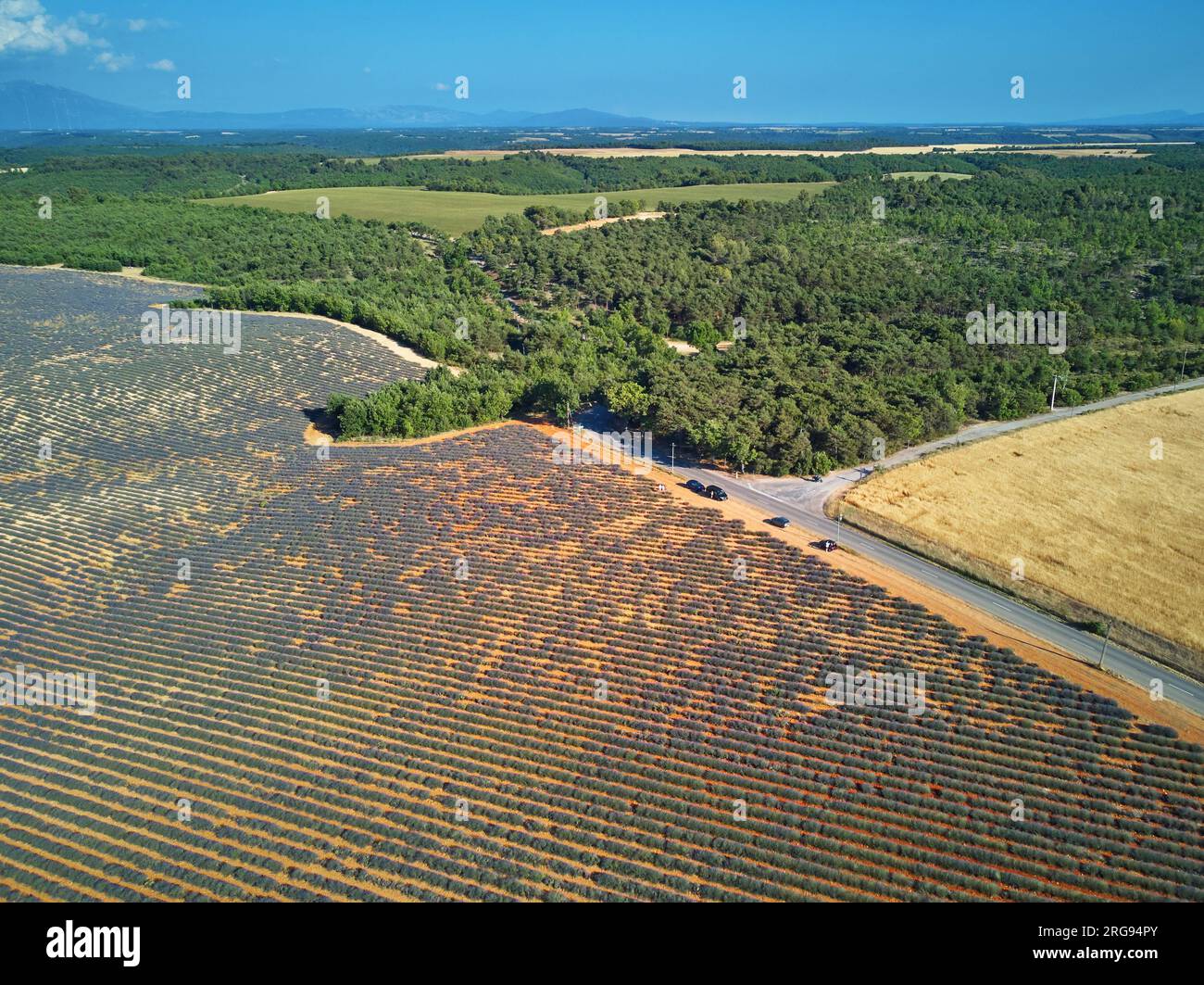 Aerial scenic Mediterranean landscape with lavender fields in Provence ...