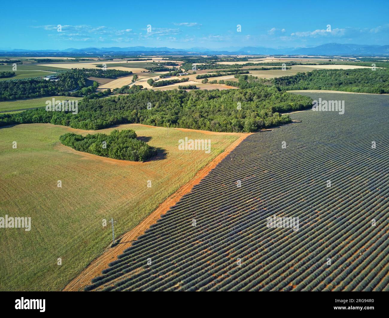 Aerial scenic Mediterranean landscape with lavender fields in Provence ...
