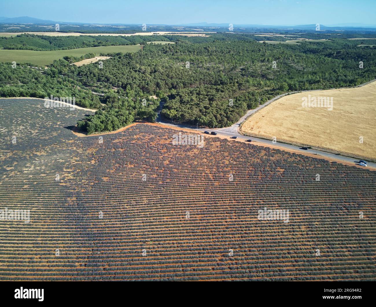 Aerial scenic Mediterranean landscape with lavender fields in Provence ...