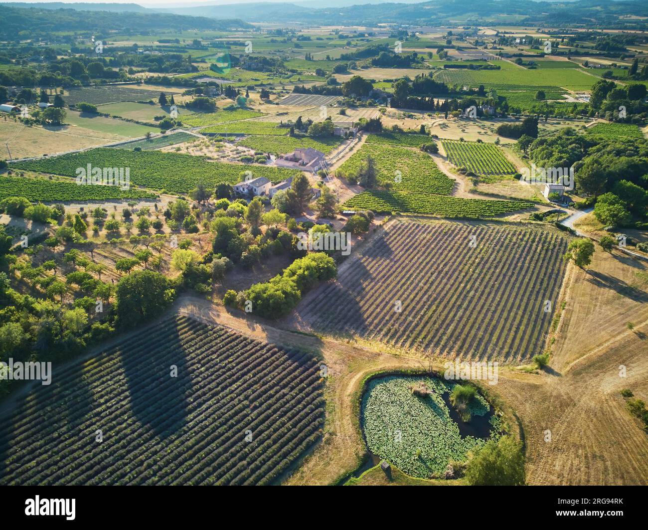Aerial view of lavender fields in valensole, france hi-res stock photography and images - Alamy