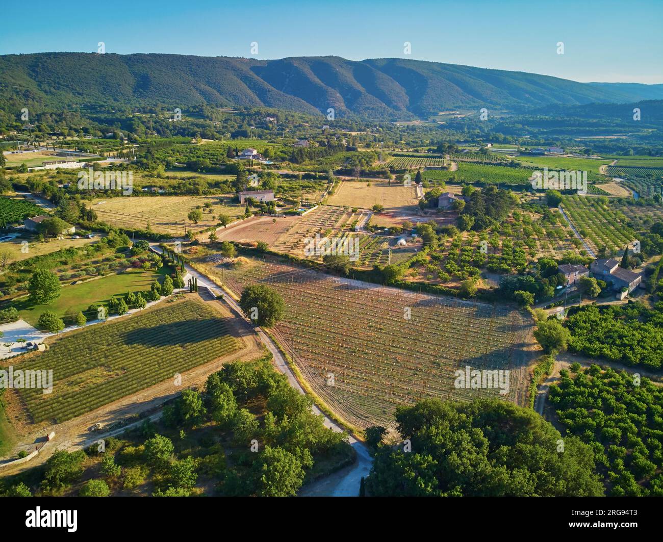 Aerial scenic Mediterranean landscape with cypresses, olive trees and ...